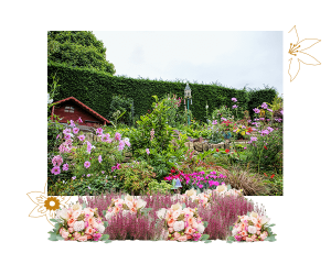Individual Planting Schemes And Gardening Ideas | Landscape Creations